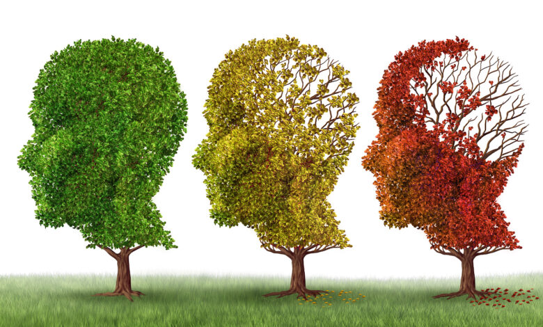 WHAT ARE MEMORY DRUGS AND DO THEY WORK Dr G Opines